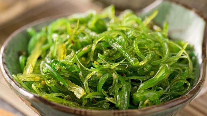 5 Manfaat Mengonsumsi Rumput Laut Untuk Kesehatan Tubuh - Wartakotalive.com