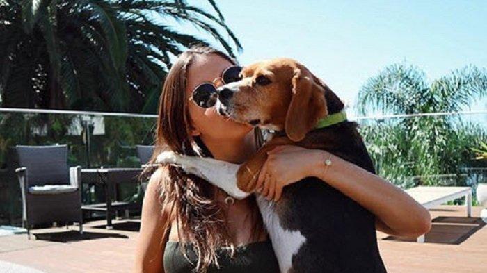 Sarah Kohan Pamer Perut Buncitnya - Wartakotalive.com