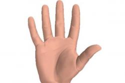 Mau Jujur dan Dipercaya? Letakkan Tangan di Dada Anda - Wartakotalive.com