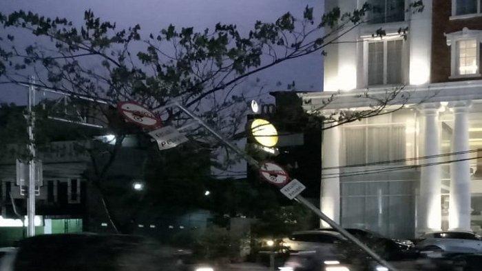 Banyak Pohon Tumbang Akibat Hujan dan Angin Kencang di Depok ...