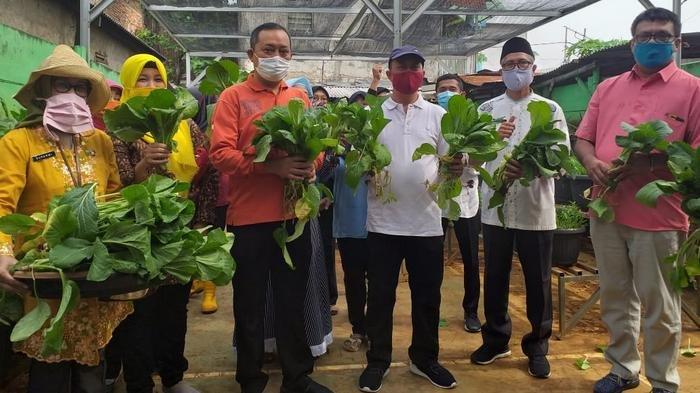 Hore, Warga Sunter Agung Panen Sayuran di Tengah Pandemi Covid-19 ...