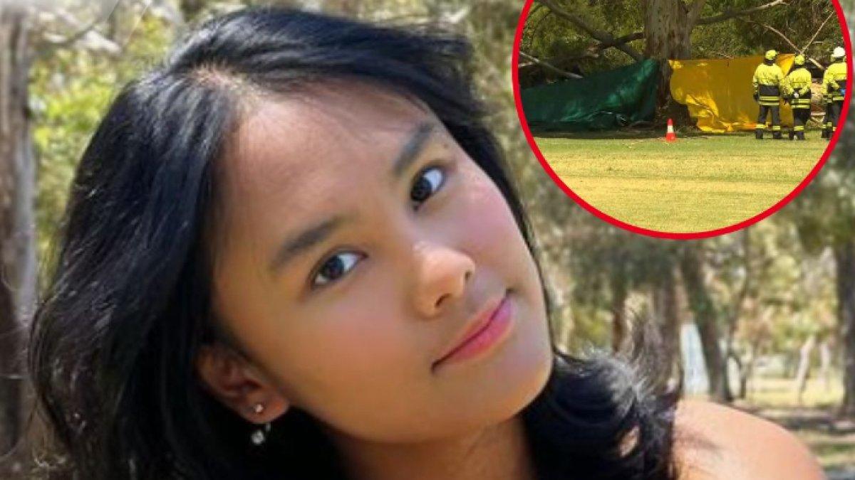 Mahasiswa Indonesia di Australia Tewas Tertimpa Pohon 10 Ton hingga ...