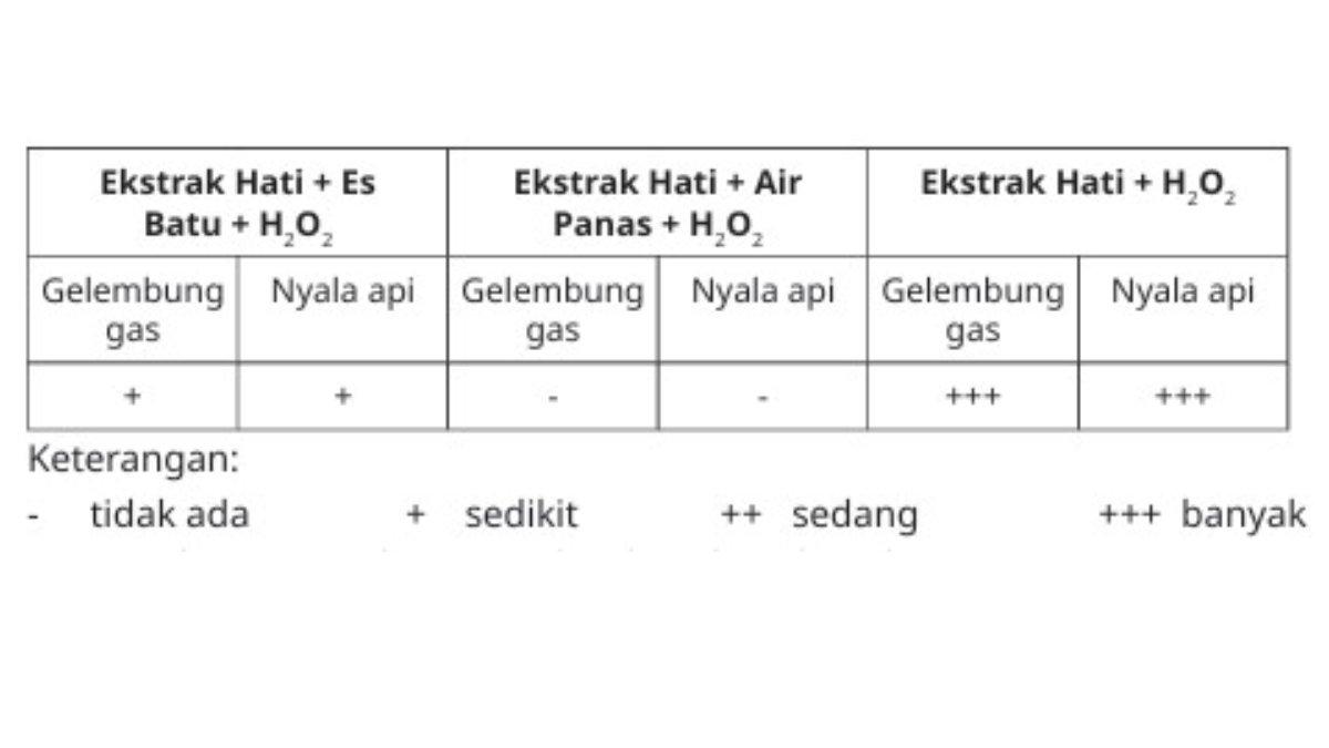 Kunci Jawaban Biologi Kelas 12 SMA Kurikulum Merdeka Halaman 50 Uji ...