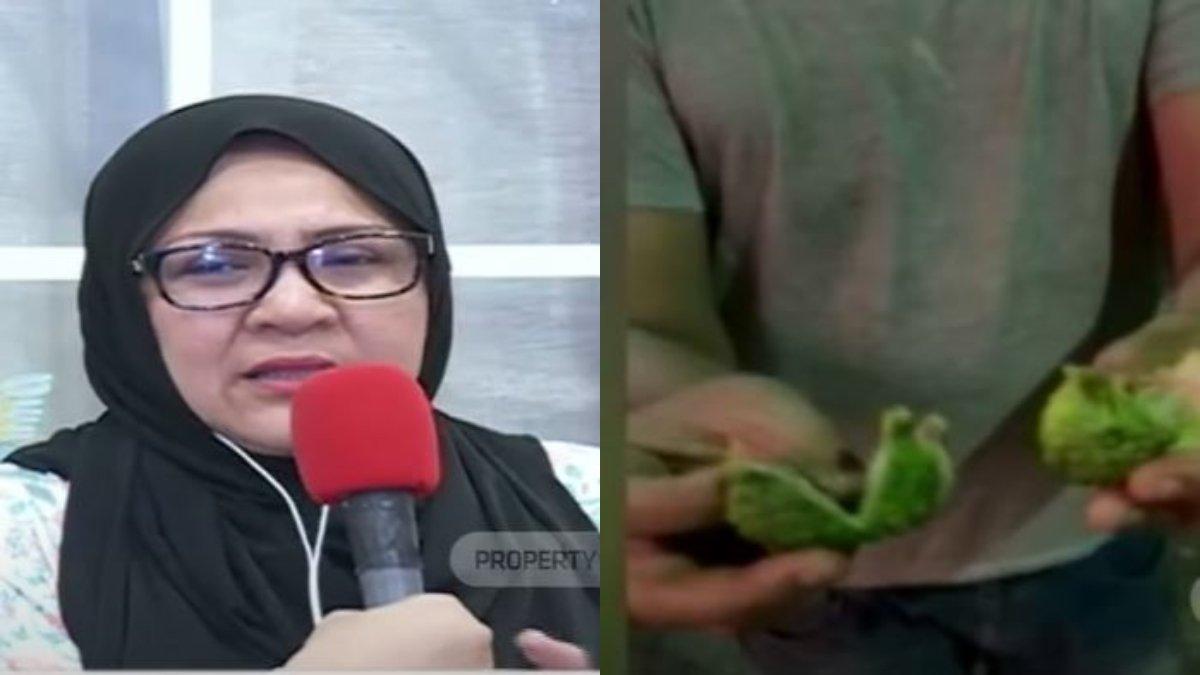 Rumah Diteror Dilempari Jeruk Purut dan Berbagai Bunga, Ibu Ken Admiral ...