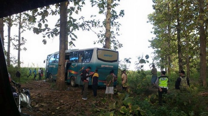 Misteri Bus Garuda Mas Masuk Hutan Jati di Blora, Ini Faktanya - Tribun Wow
