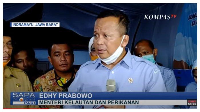 Tanggapan Edhy Prabowo saat Disebut Beri Izin Ekspor Lobster Hanya kepada Kerabat dan Kader ...