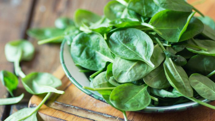 5 Manfaat Mengonsumsi Bayam untuk Kesehatan Anak Anda, Bermanfaat untuk ...