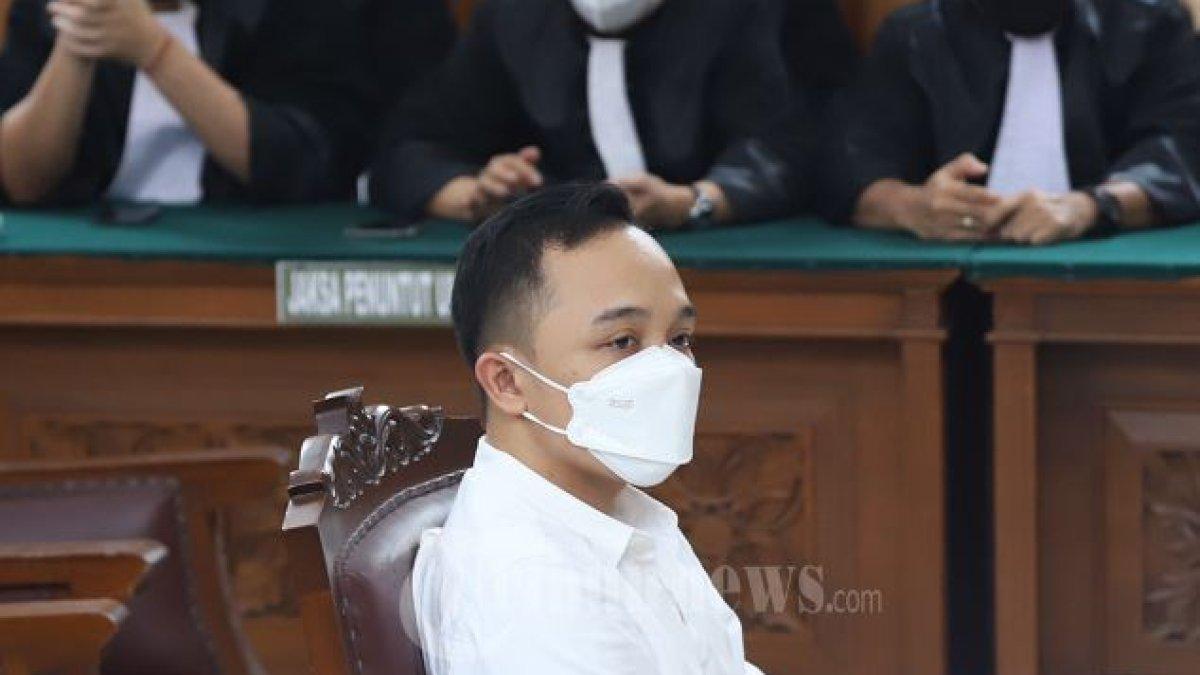 Ricky Rizal Divonis 13 Tahun Penjara, Berikut Hal yang Memberatkan dan Meringankan Ajudan Sambo ...