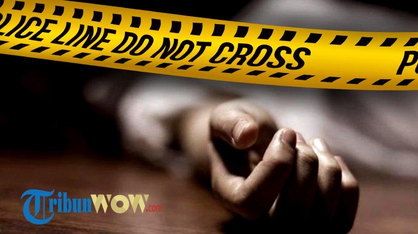 Tribun Wow - Berita dan video selebriti, lifestyle, entertainment ...